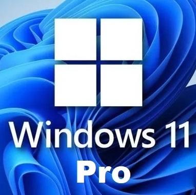 win10